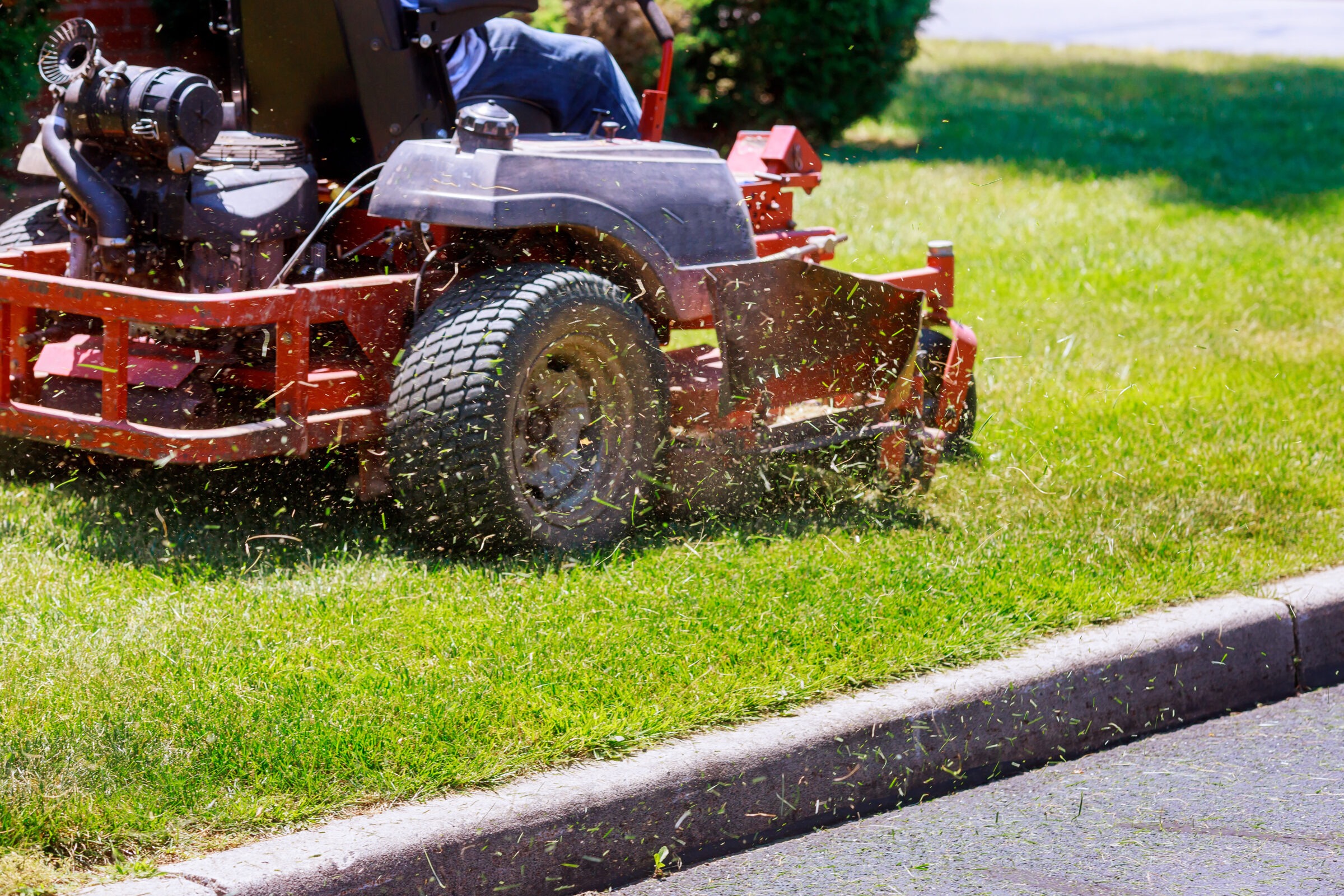 Spring Lawn Care Tips: How to Bring Your Yard Back to Life | Precision ...